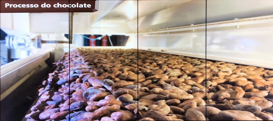 Processo de Fabricação do Chocolate (22) - Doces Histórias